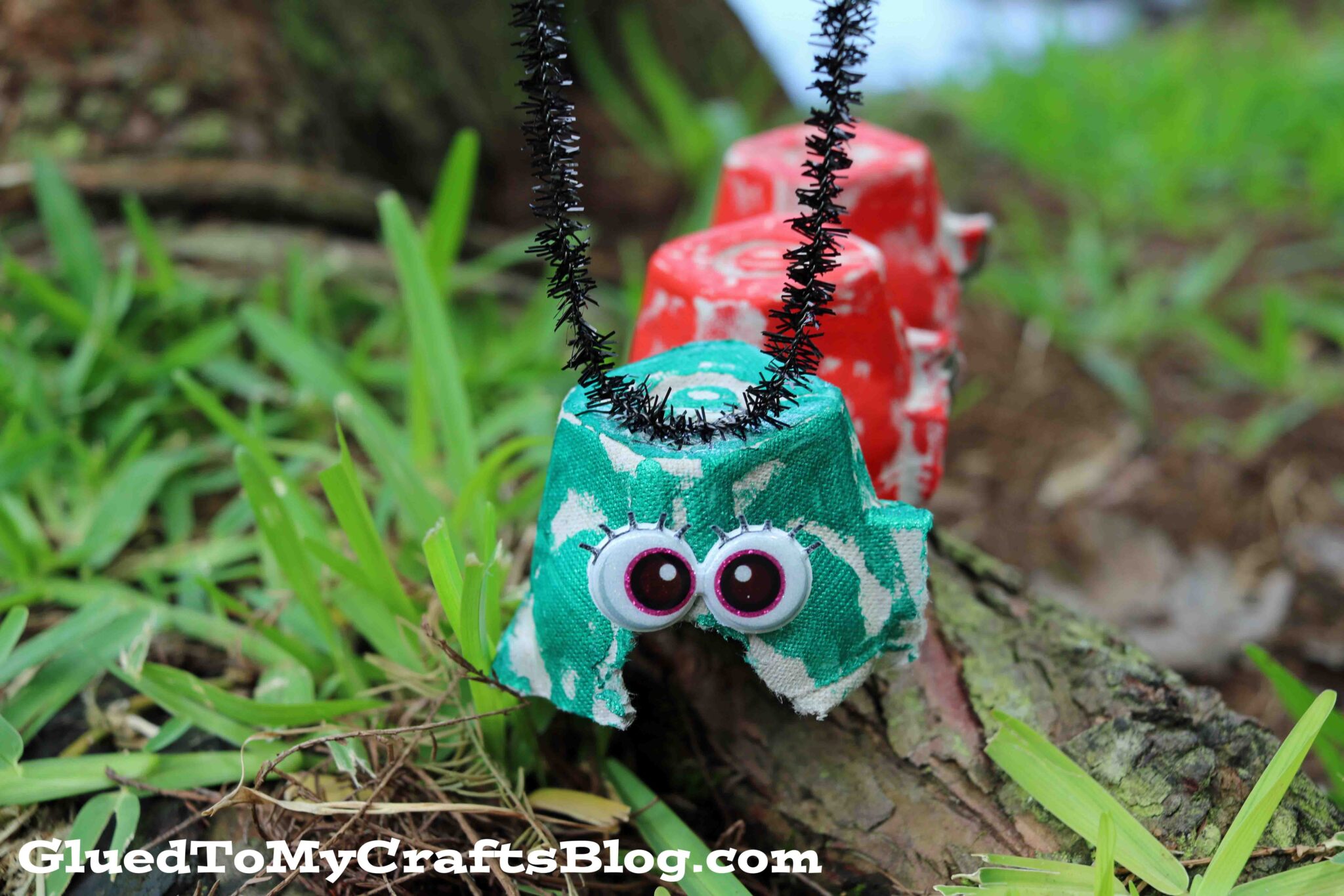 Recycled Egg Carton Caterpillar Craft Idea For Kids