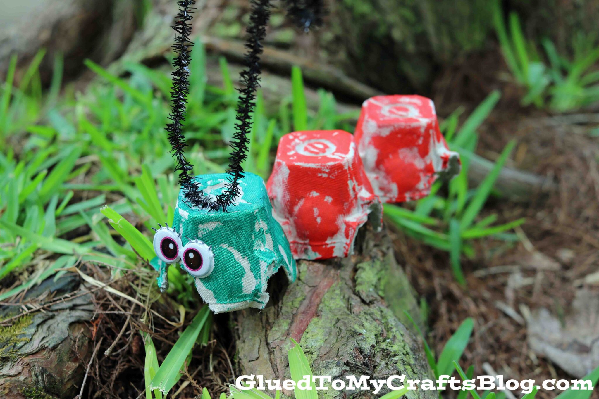 Recycled Egg Carton Caterpillar Craft Idea For Kids