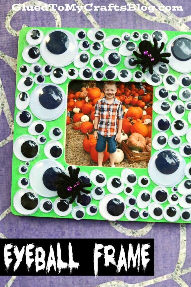 Eyeball Covered Picture Frame Craft Idea