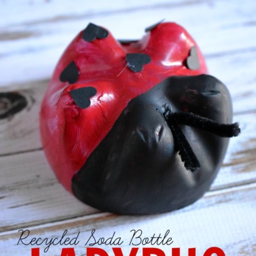 Recycled Soda Bottle Ladybug Craft