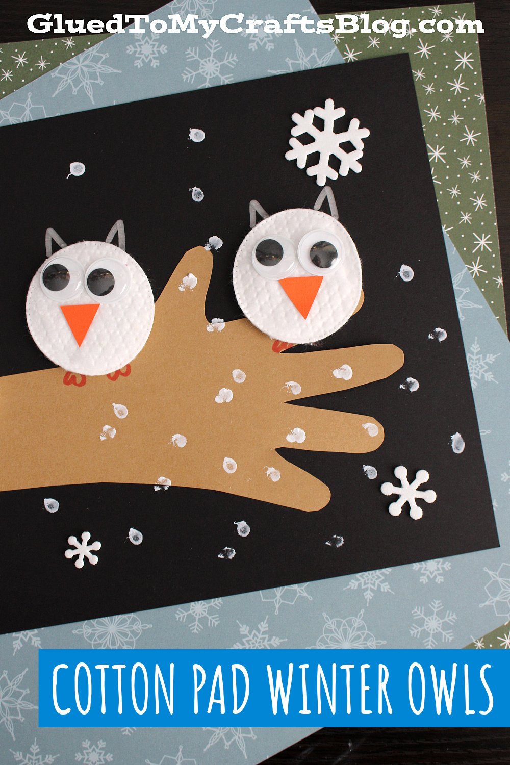 Cotton Pad Winter Owl Craft Idea For Kids