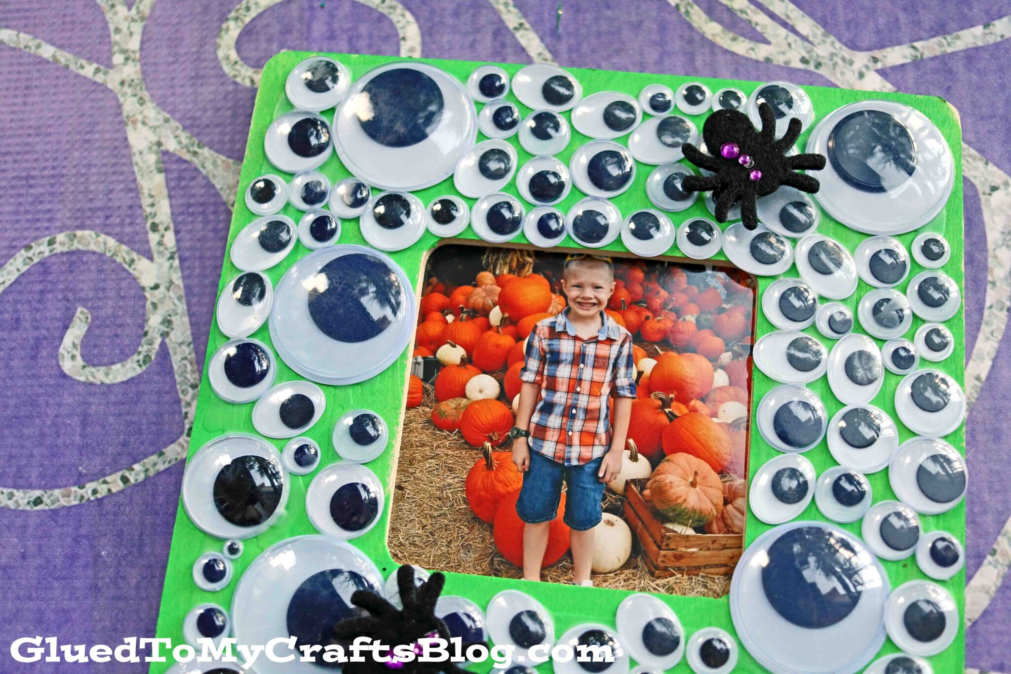 Eyeball Covered Picture Frame Craft Idea