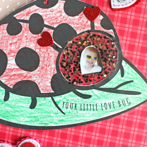 Love Bug Photo Ornament Craft Idea For Kids
