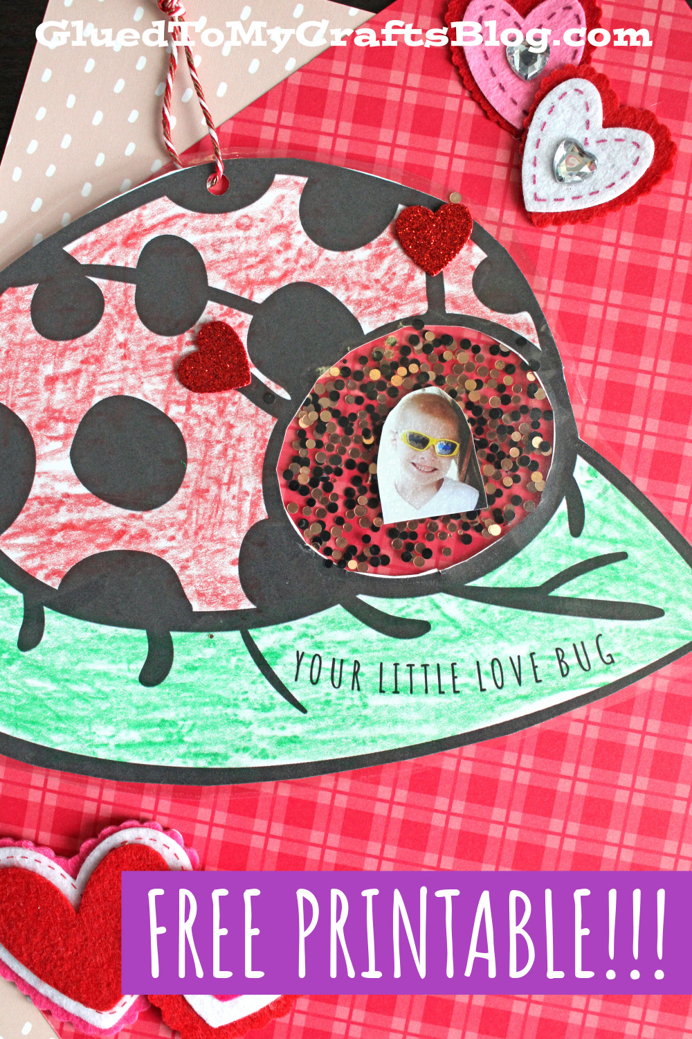 Love Bug Photo Ornament Craft Idea For Kids