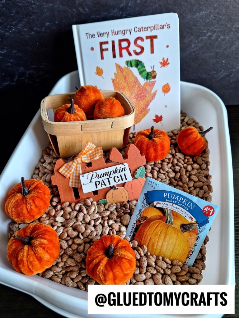 Fall Themed Sensory Bin Ideas From Glued To My Crafts