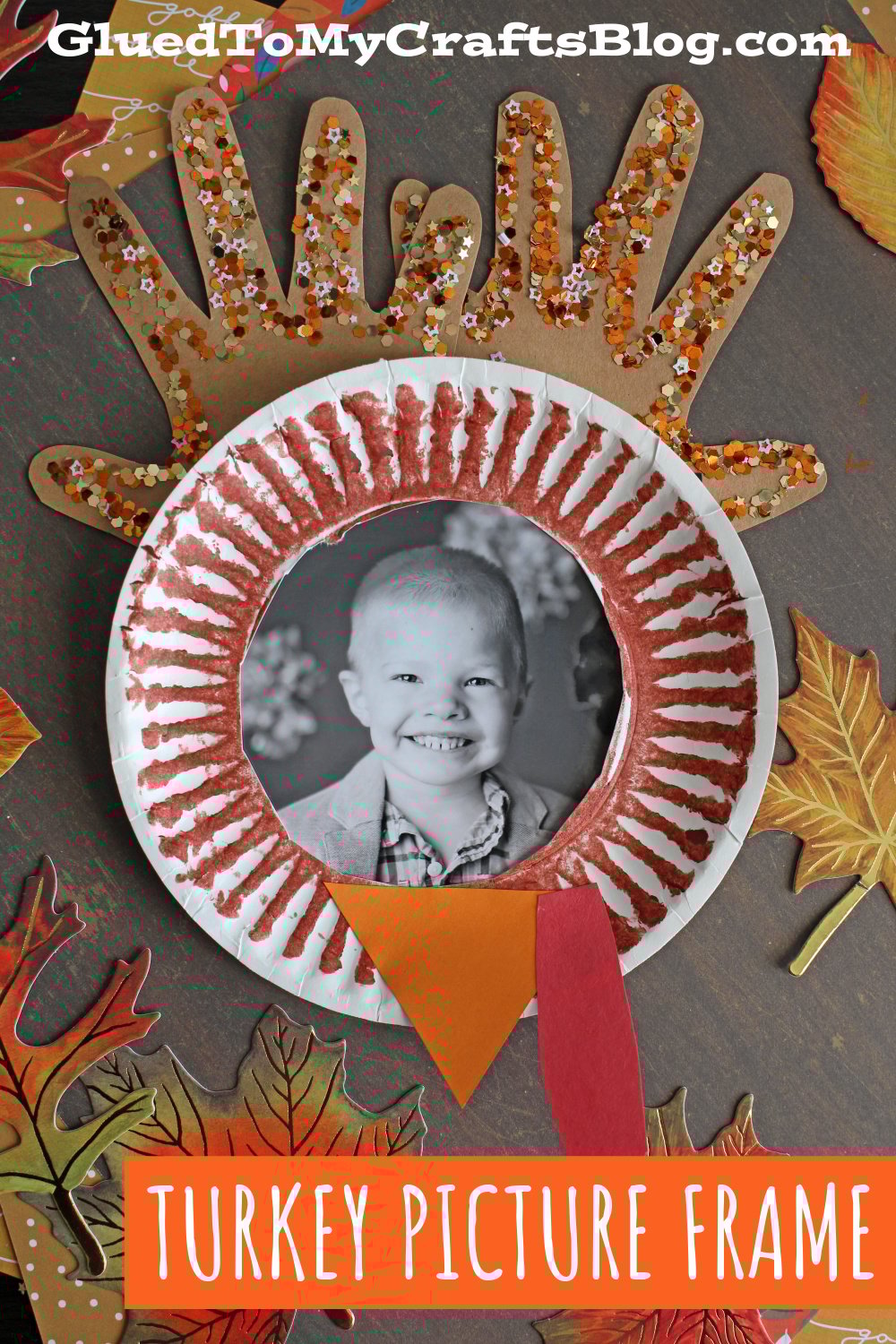 Paper Plate Turkey Picture Frame Craft Idea