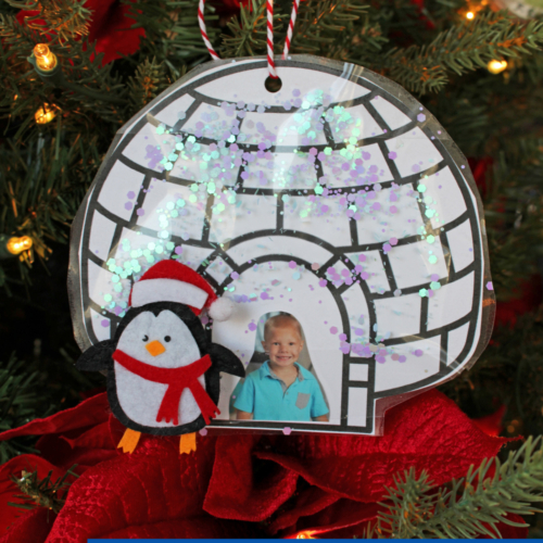 Igloo Photo Ornament Craft Idea For Winter