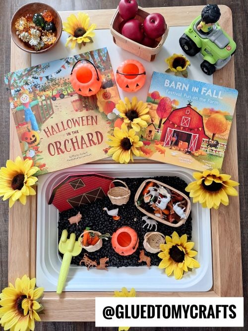 Fall Themed Sensory Bin Ideas From Glued To My Crafts