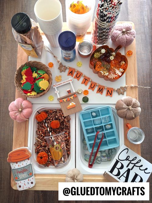 Fall Themed Sensory Bin Ideas From Glued To My Crafts