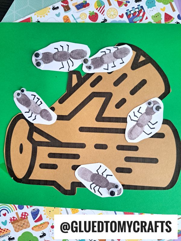 40+ Insect Craft Ideas For Kids